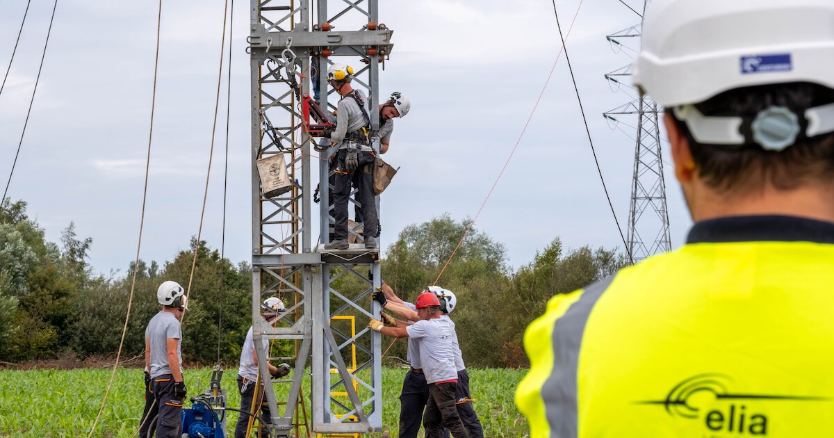 Na de zomerstorm in Mechelen neemt Elia zijn noodlijn in dienst: “Onze ...