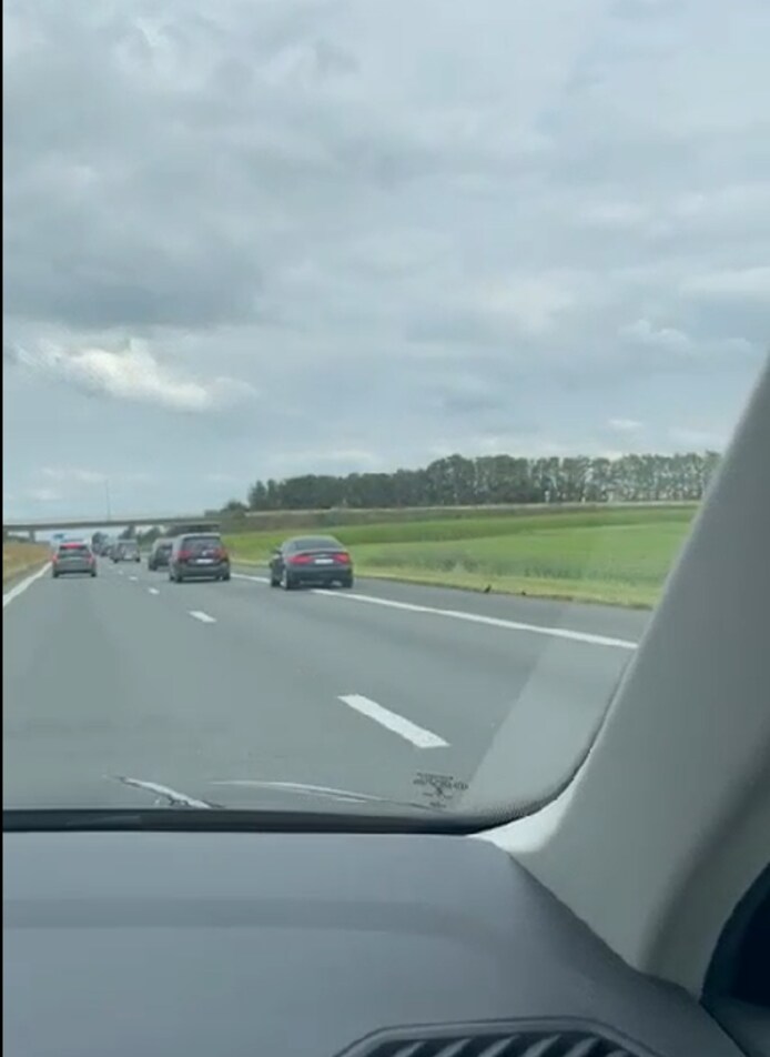 KIJK. Wegpiraat haalt rechts in langs de pechstrook op E40 in Jabbeke ...