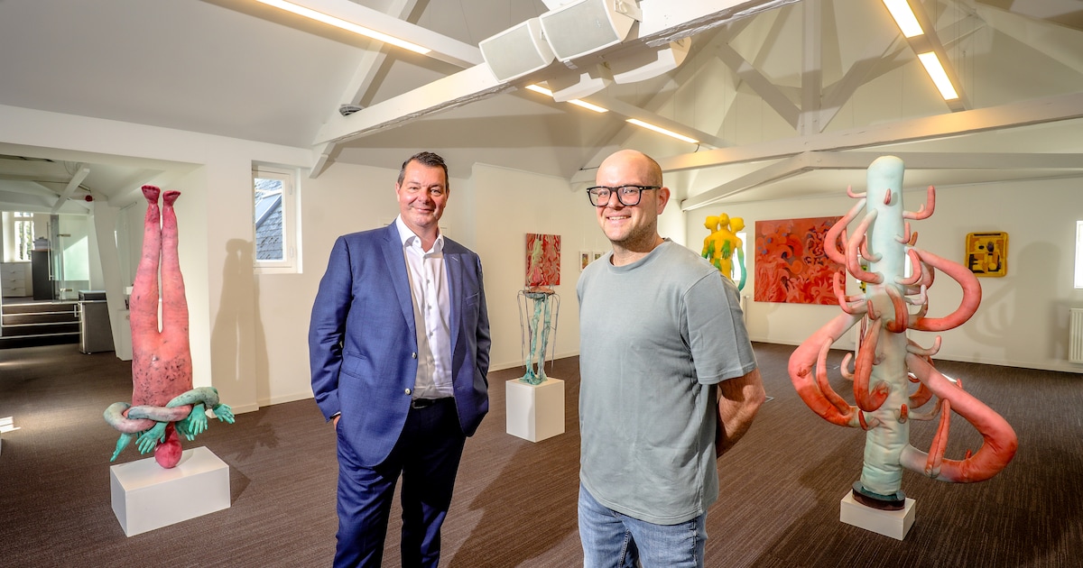 Kasteel De Cellen verwelkomt kunstexpo: "Twintig werken waren nog nooit ...