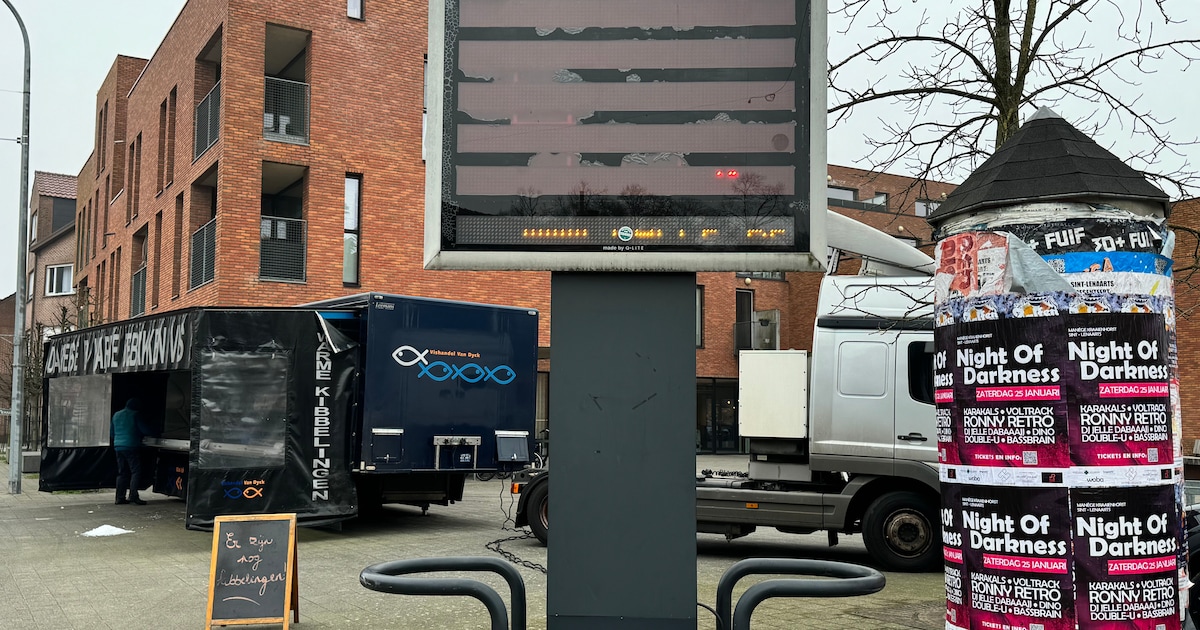 Lichtkrant aan De Notelaar in Oostmalle defect | Malle | HLN.be