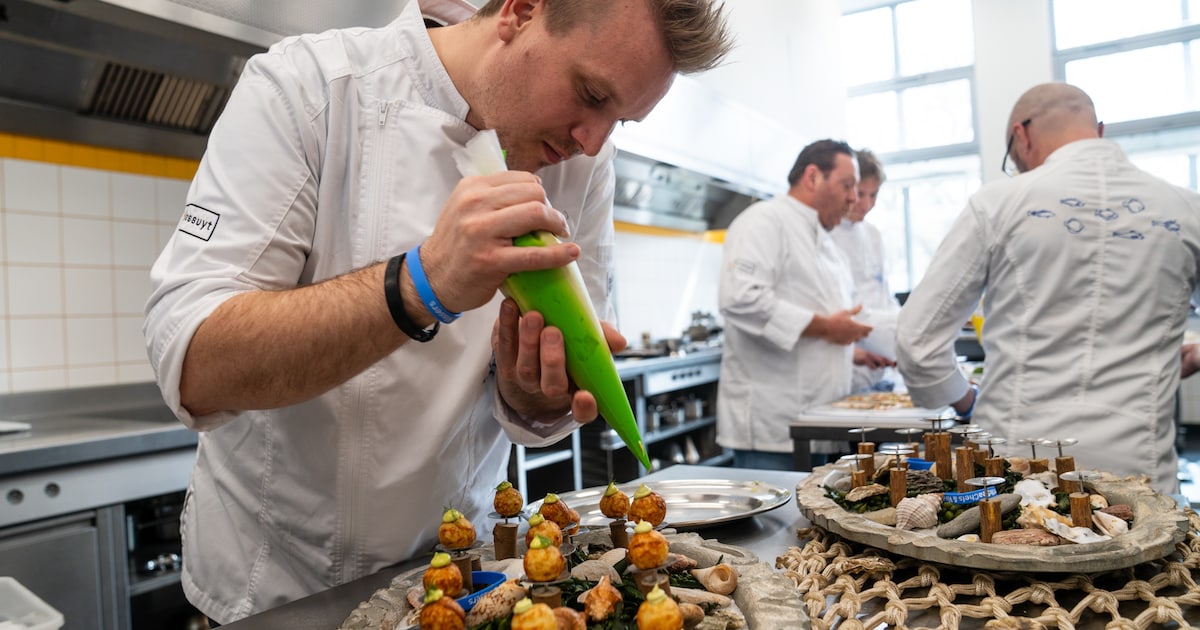 Sterrenchefs van vandaag en morgen komen samen in hotelschool PIVA: “De ...