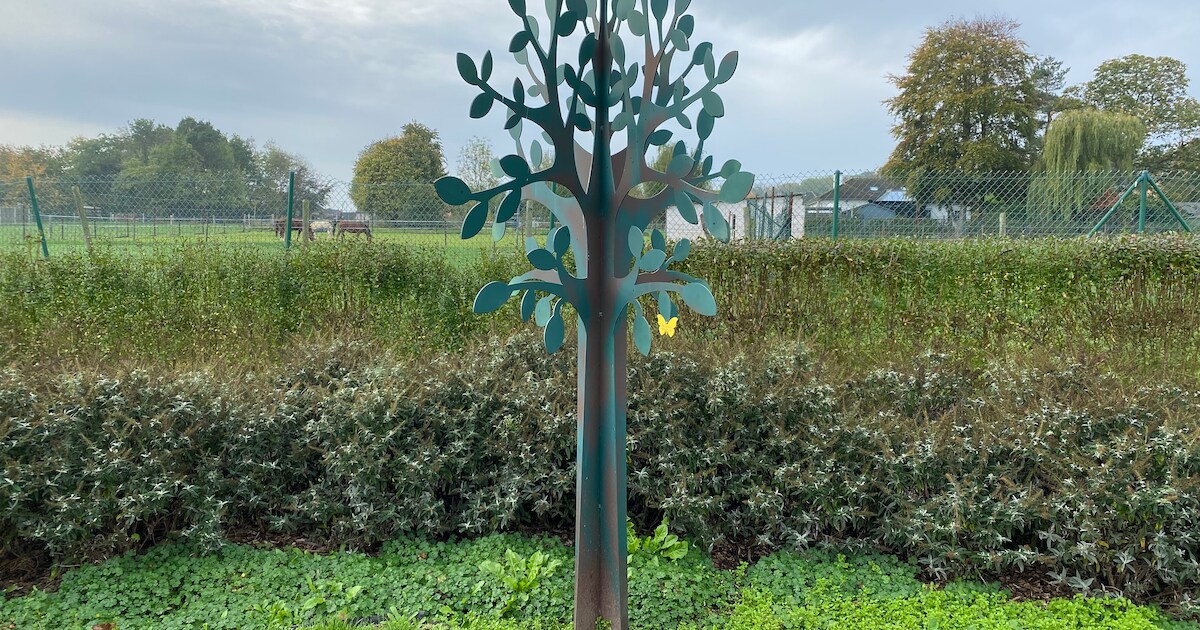 Boutersem wordt sterrengemeente: “Ouders die kindje zien sterven helpen ...