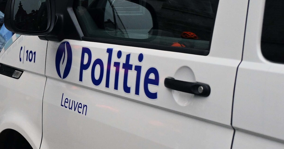 Onbekende vijst schroef in slot garagebox | Leuven | HLN.be