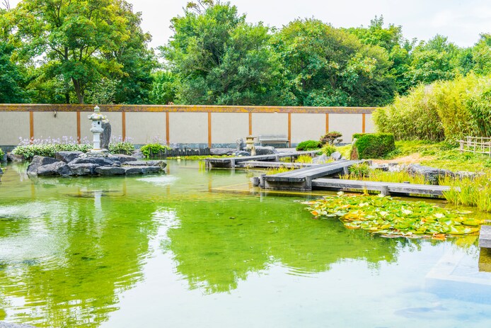 MIJN STAD. Kunstenares Joke Neyrinck over haar Oostende: “Ik vind dat heel het centrum gerust ...