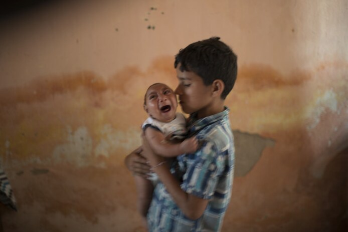 "Zikavirus niet de oorzaak van misvormde baby's maar wel insecticiden ...