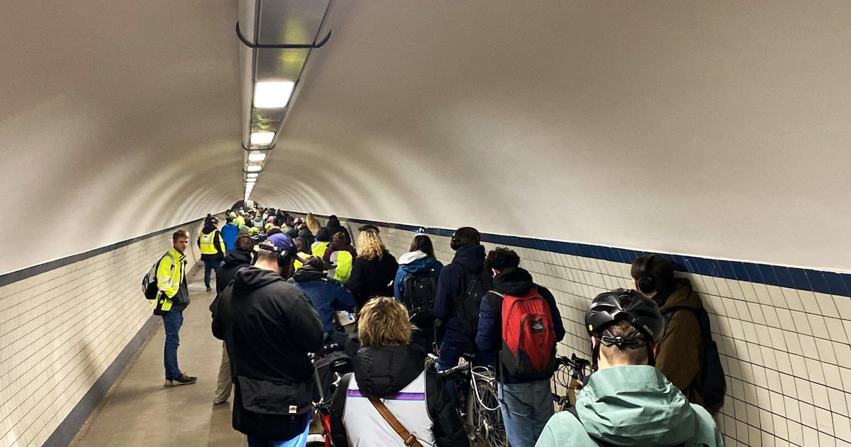 KIJK. Meer dan een uur aanschuiven in voetgangerstunnel in Antwerpen op ...