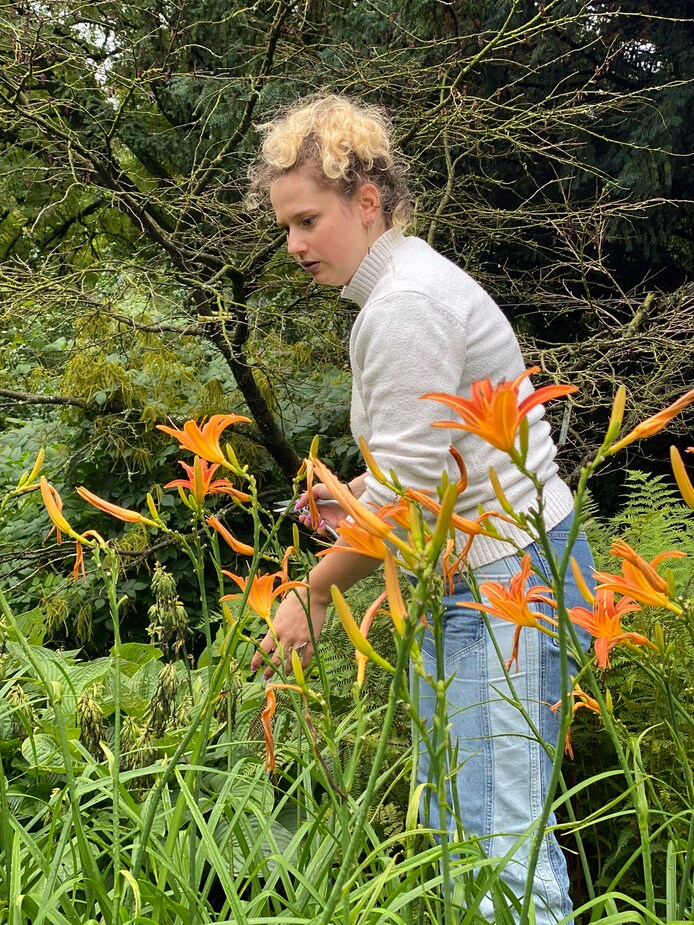 Belgisch bloemen- en plantenkunstenaar traint in Arboretum Kalmthout ...