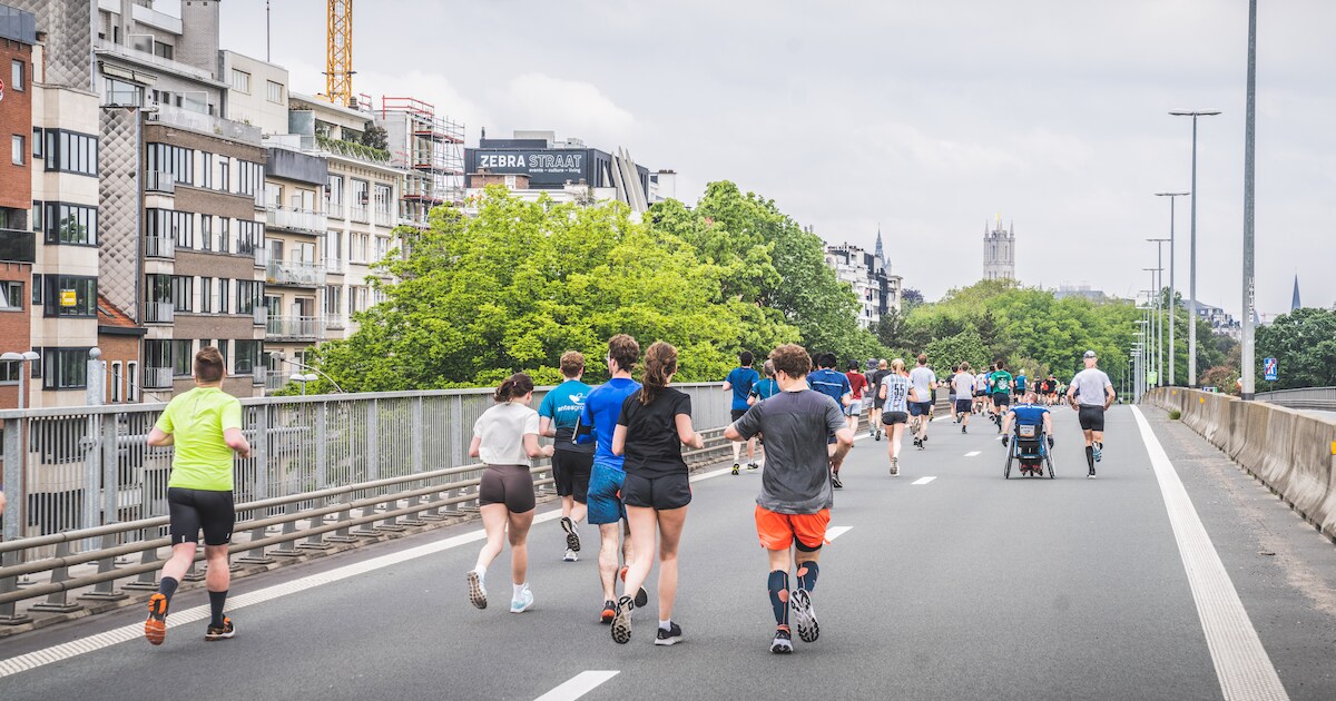 Wat te doen in de regio Gent dit weekend? Van de Stadsloop tot een ...