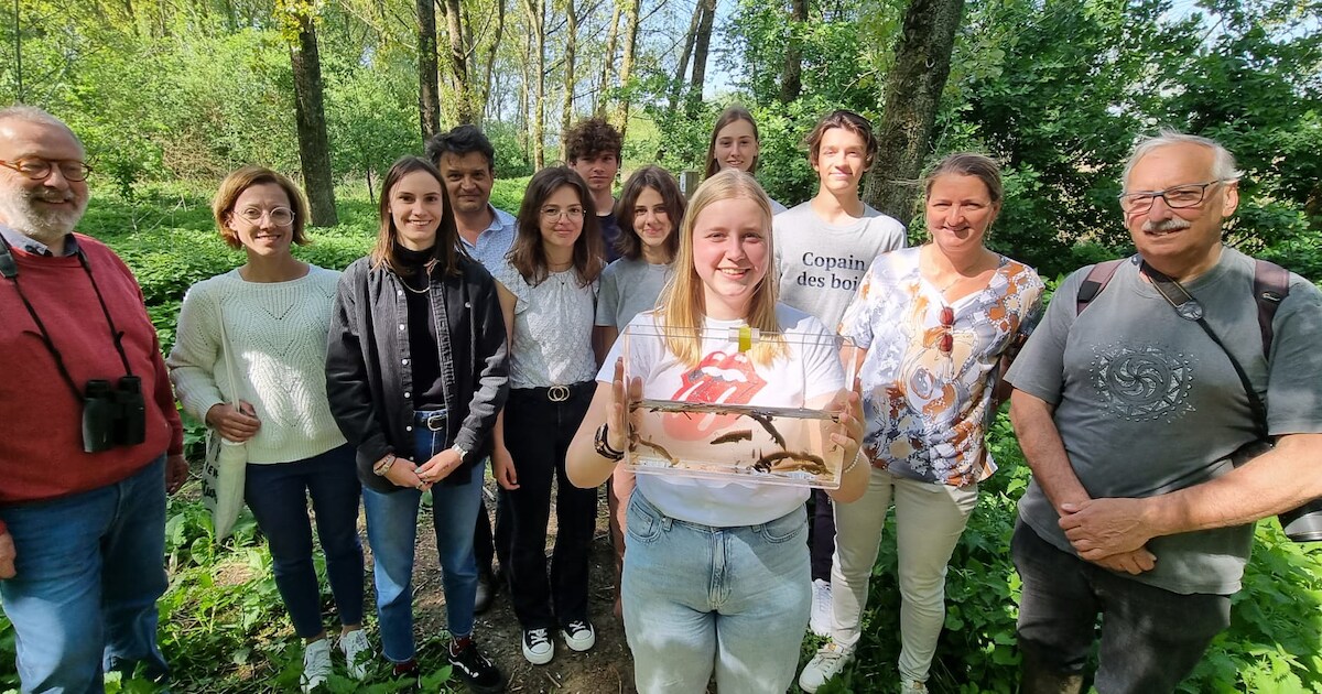 Leerlingen College krijgen rondleiding in natuurgebied Fort Saint ...