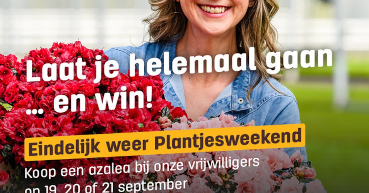 Gezinsbond verkoopt azalea’s ten voordele van Kom op tegen Kanker op 19 ...