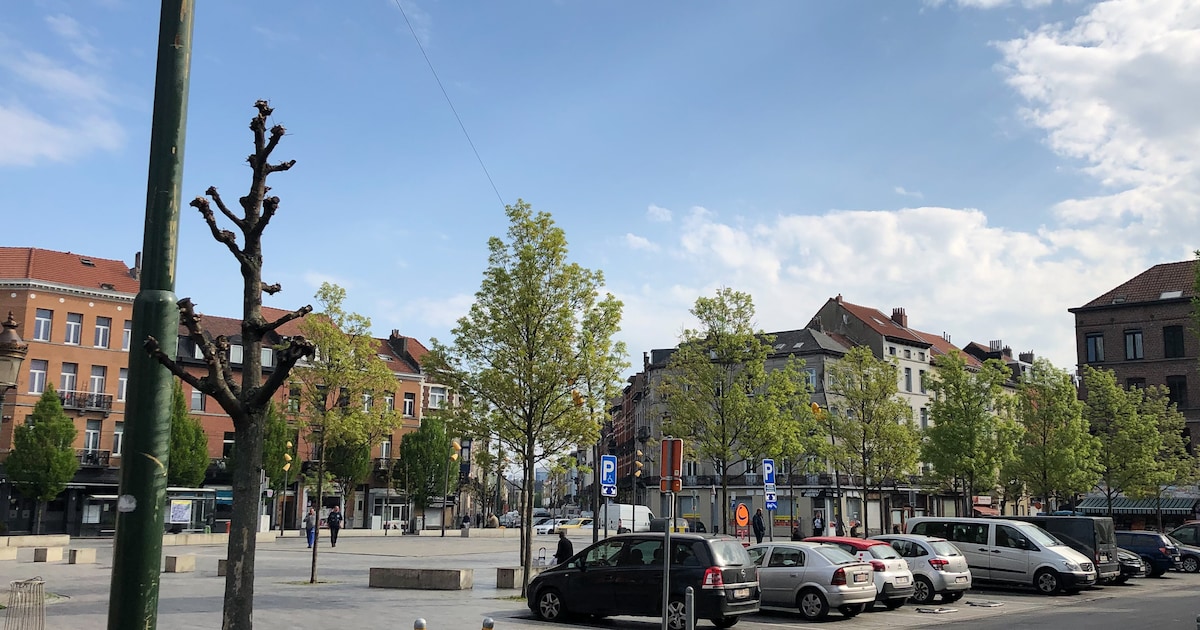 “Het kind is meerdere vingers kwijt”: vuurwerk ontploft in hand op ...