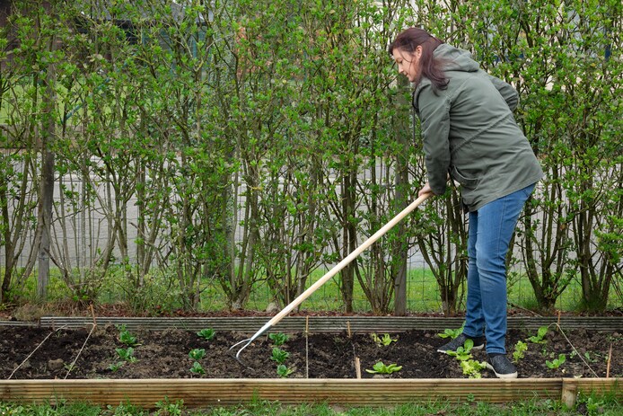 Stappenplan voor je moestuin (slot): “Ook ik ben er al aan verslaafd ...