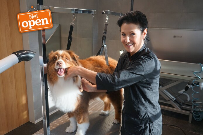 NET OPEN. Hilde (56) ruilt job van tandartsassistente voor eigen ...