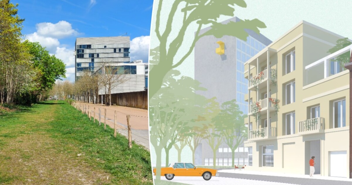 Eerste Community Land Trust-woningen in Leuven worden concreter: Werken ...