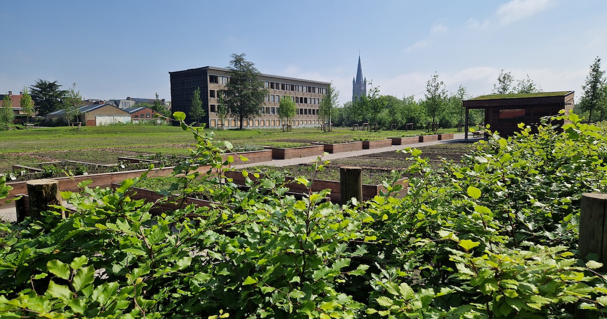 Verkoop Hartwijk in Eeklo gaat pak minder opbrengen dan eerst gehoopt ...