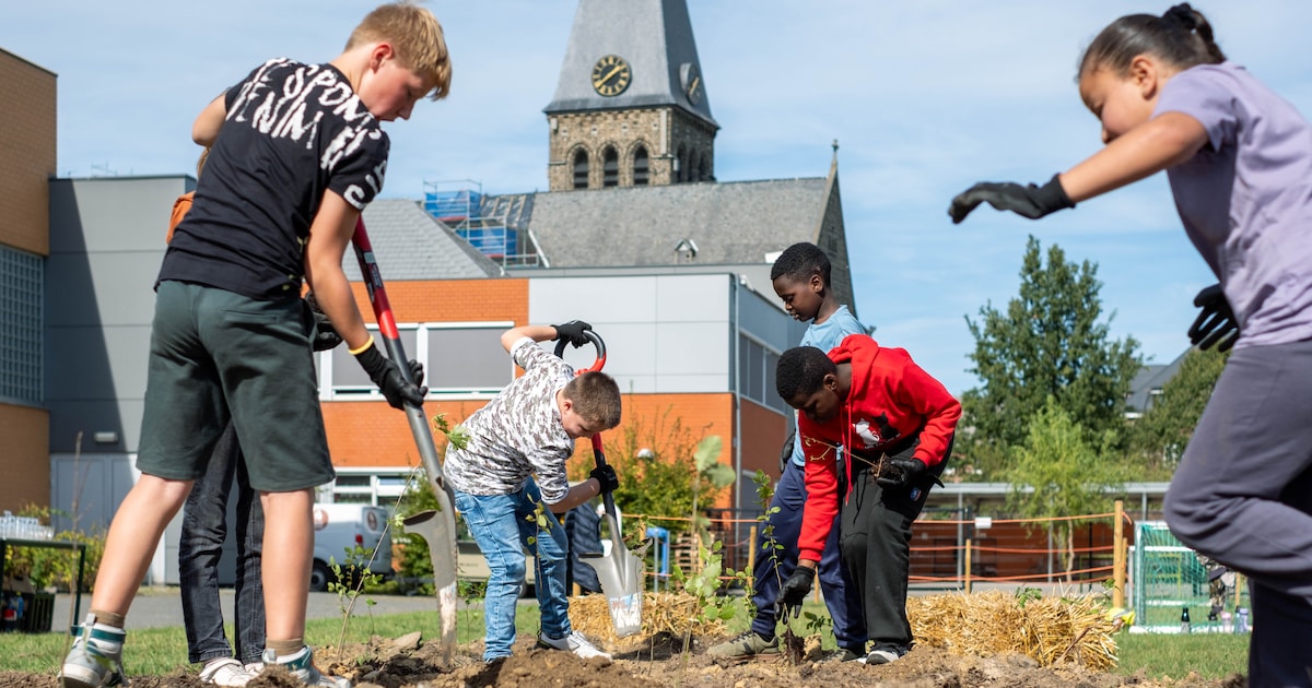 Leerlingen van basisschool De Sprankel planten eigen bos op speelplaats: “Binnenkort spelen en ...