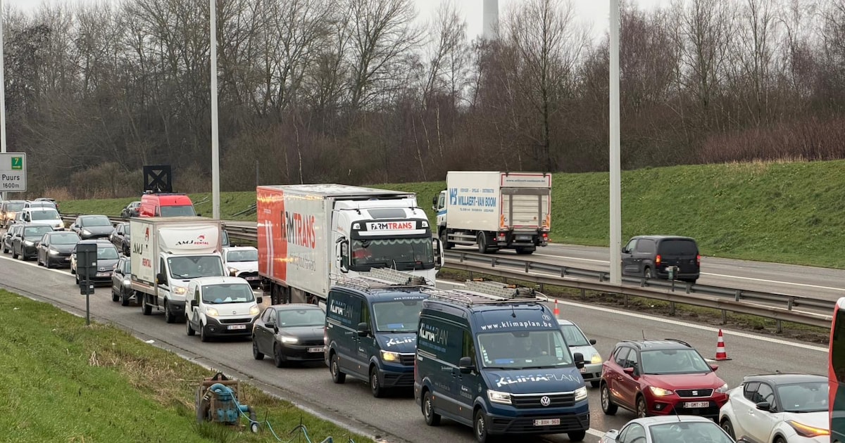 Ruim uur file op A12 richting Antwerpen door ongeval ter hoogte van ...