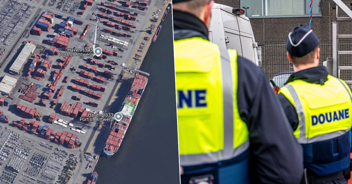 Nederlandse douane onderschept 88 kilo cocaïne met bestemming Antwerpen ...