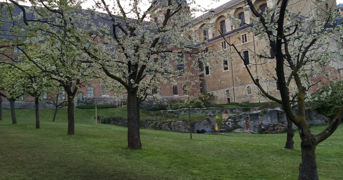 Toch een oplossing voor het Vredeshuis? Deze locatie ligt op tafel | Gent | HLN.be