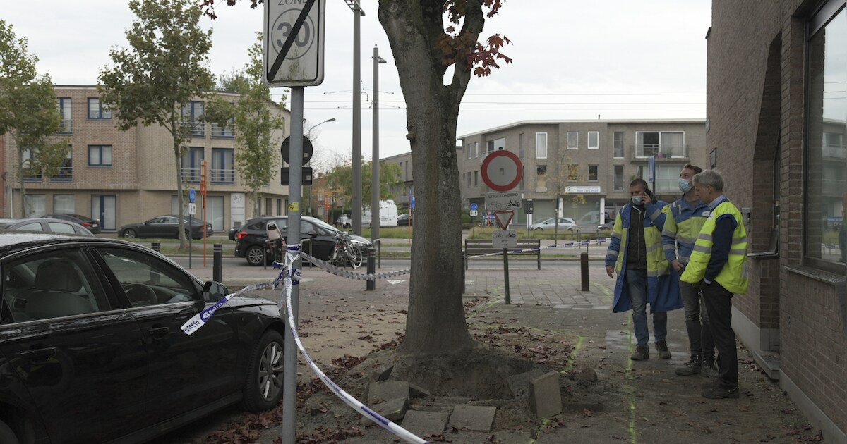 Steekvlammen schieten uit voetpad na probleem met elektriciteitsleiding ...