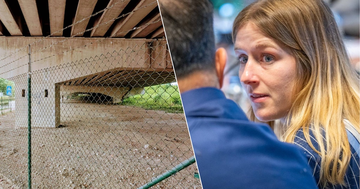 N-VA-gemeenteraadslid vraagt parking onder viaduct Aalst: “Oplossing ...