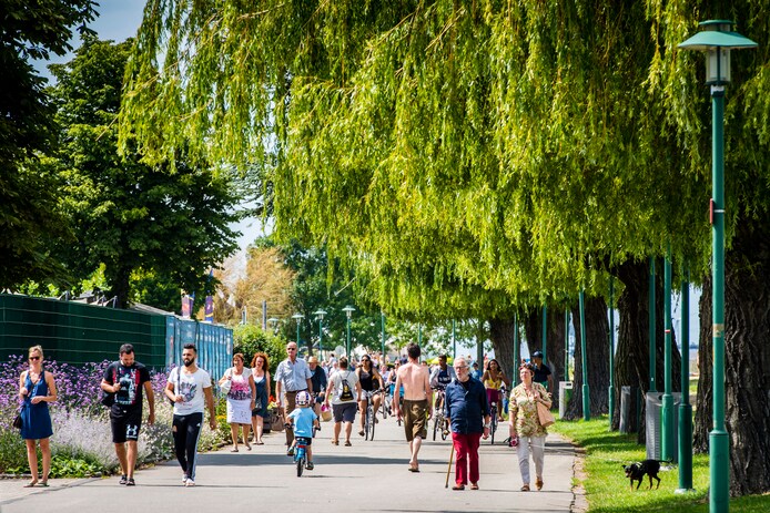 Ruimtelijk uitvoeringsplan voor Sint-Anneke Plage naar gemeenteraad ...