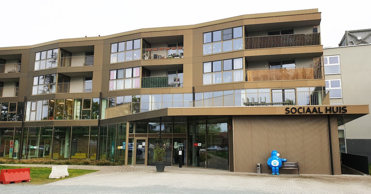 Stad breidt steun voor gebruikers van maaltijden en poetsdiensten aan ...