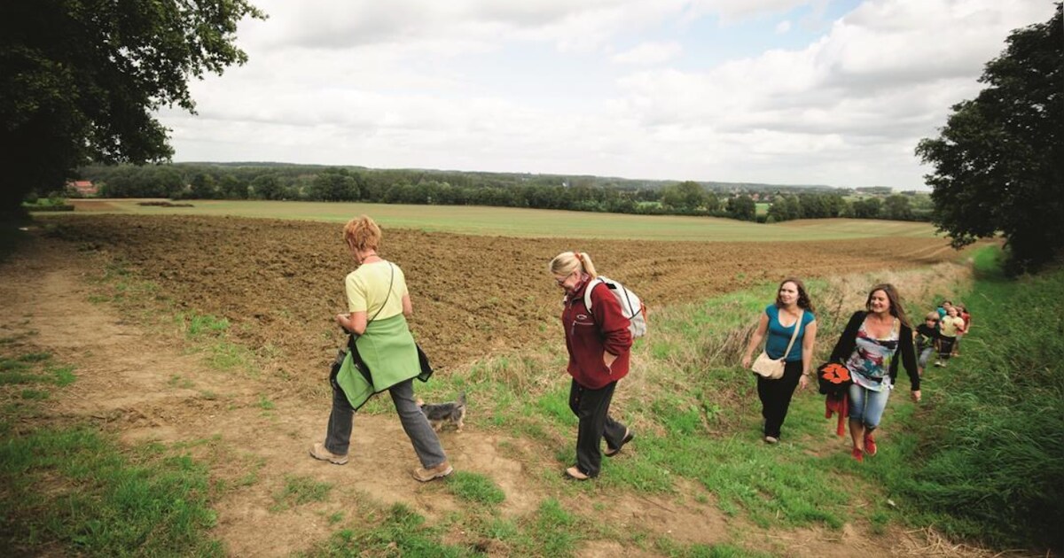 Expo rond trage wegen: “Fotografen tonen romantische en verborgen plekjes” | Stekene | hln.be