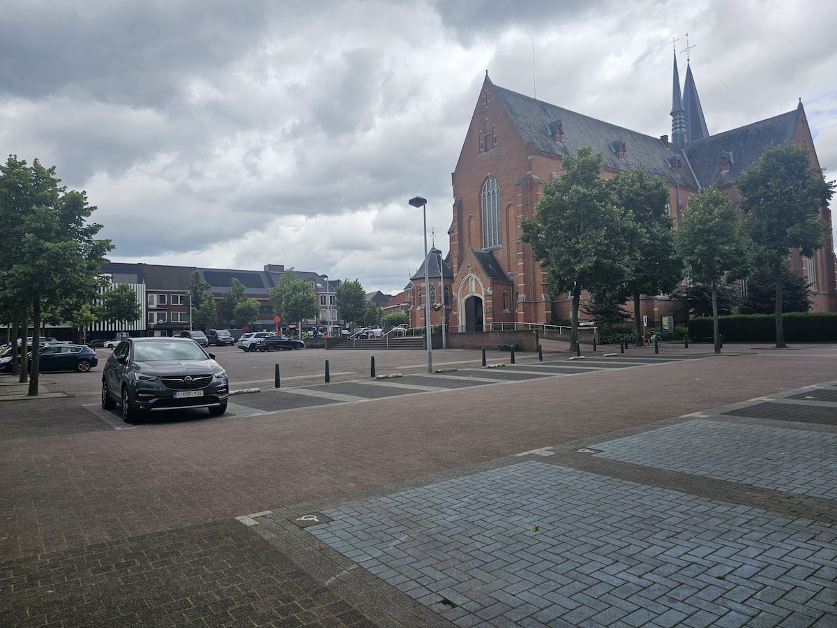 HUIZENJACHT. Beerse, landelijke gemeente waar toch alles te vinden is ...