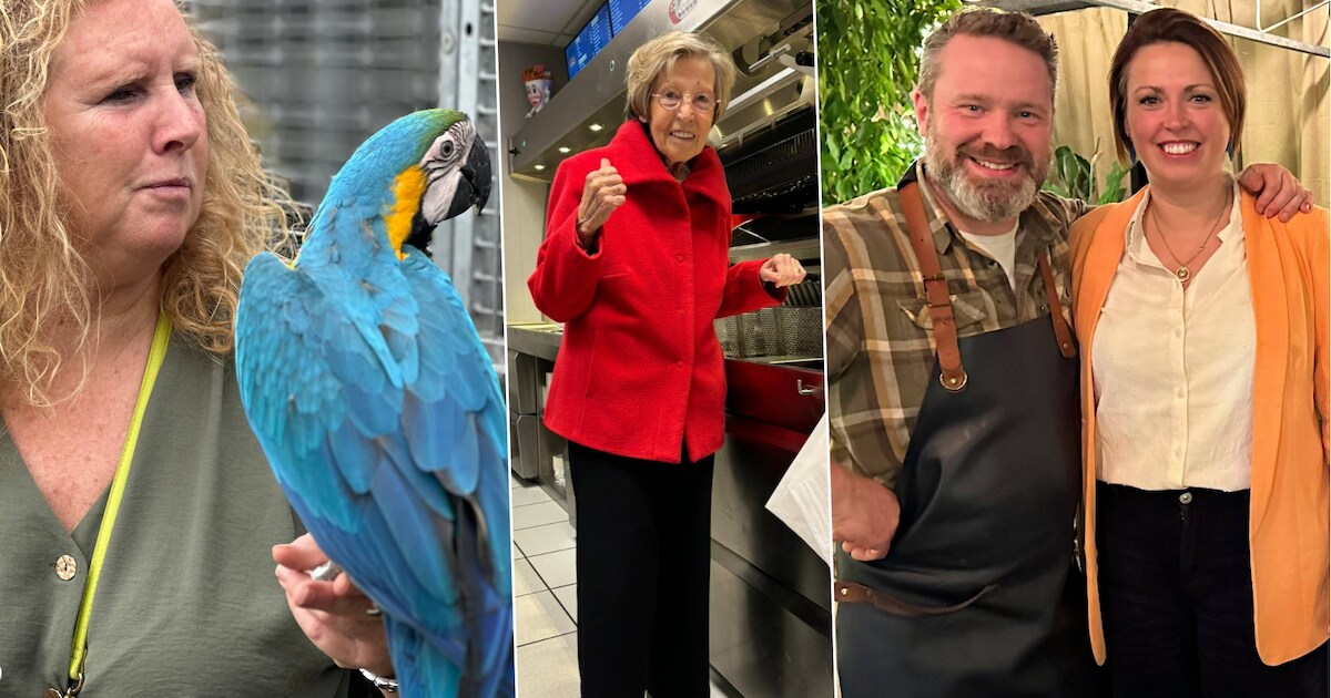 600.000 keer bedankt! Deze Oud-Turnhoutse verhalen werden het meest ...