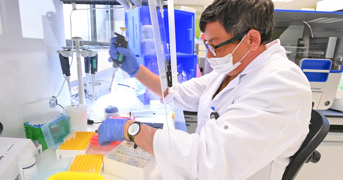 GZA en ZNA-ziekenhuizen gaan weefselstalen van overleden coronapatiënten onderzoeken | Antwerpen ...