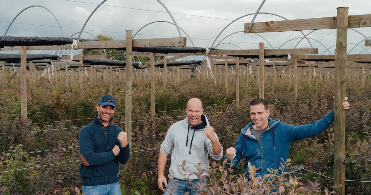 Halnet draait op volle toeren: genoeg groene stroom voor 15 gezinnen ...