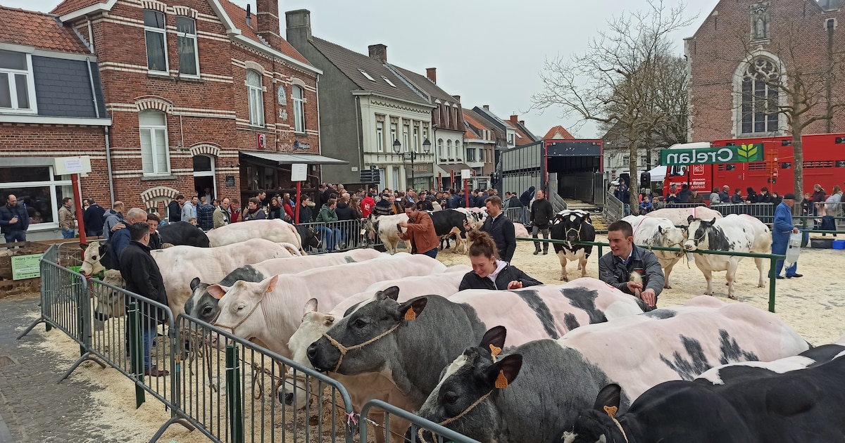Van Vette Veemarkt in Zomergem tot whiskeyfestival in Beke: dit zijn ...