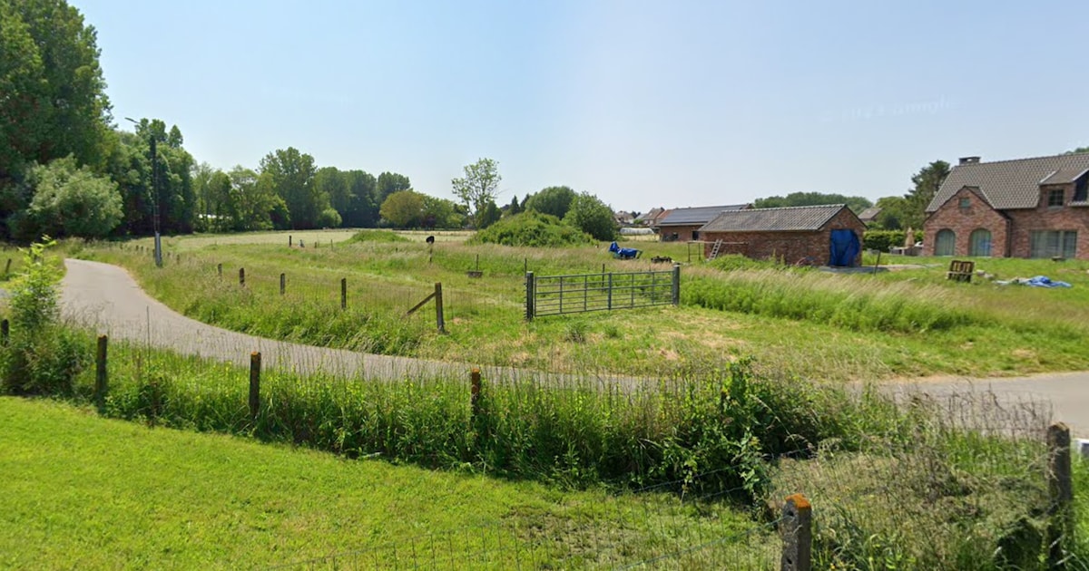 Roosdaal krijgt 1,05 hectare extra groen: “Terreinen langs Hunselbeek ...