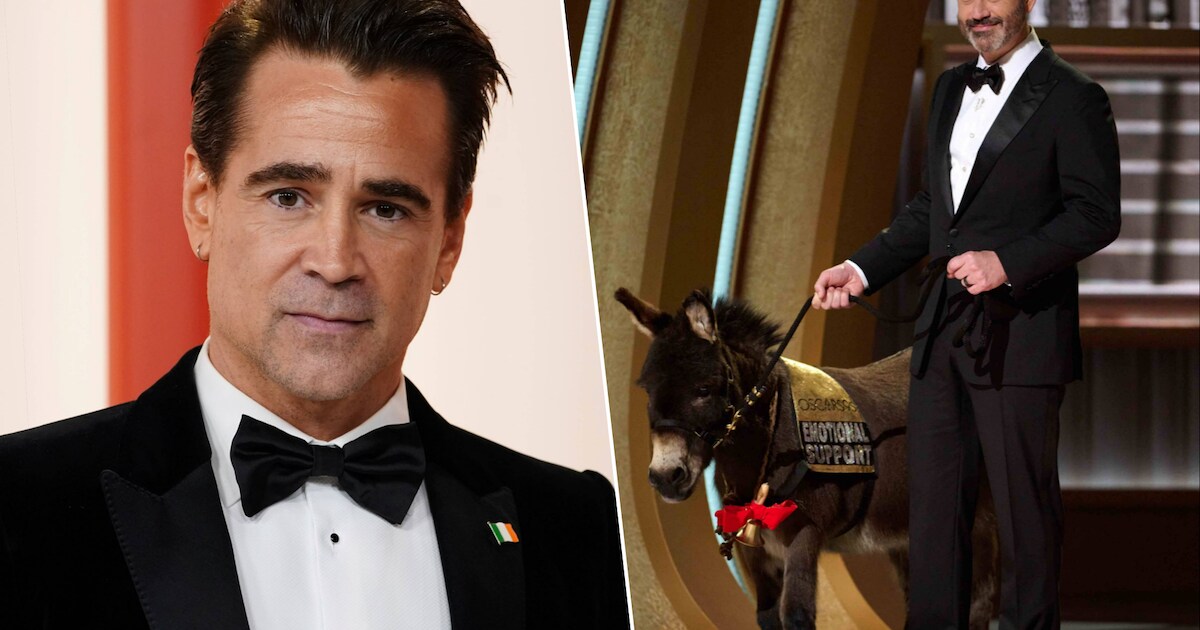 Colin Farrell en Jenny de ezel zijn dé meme van de Oscars: “Zijn ...