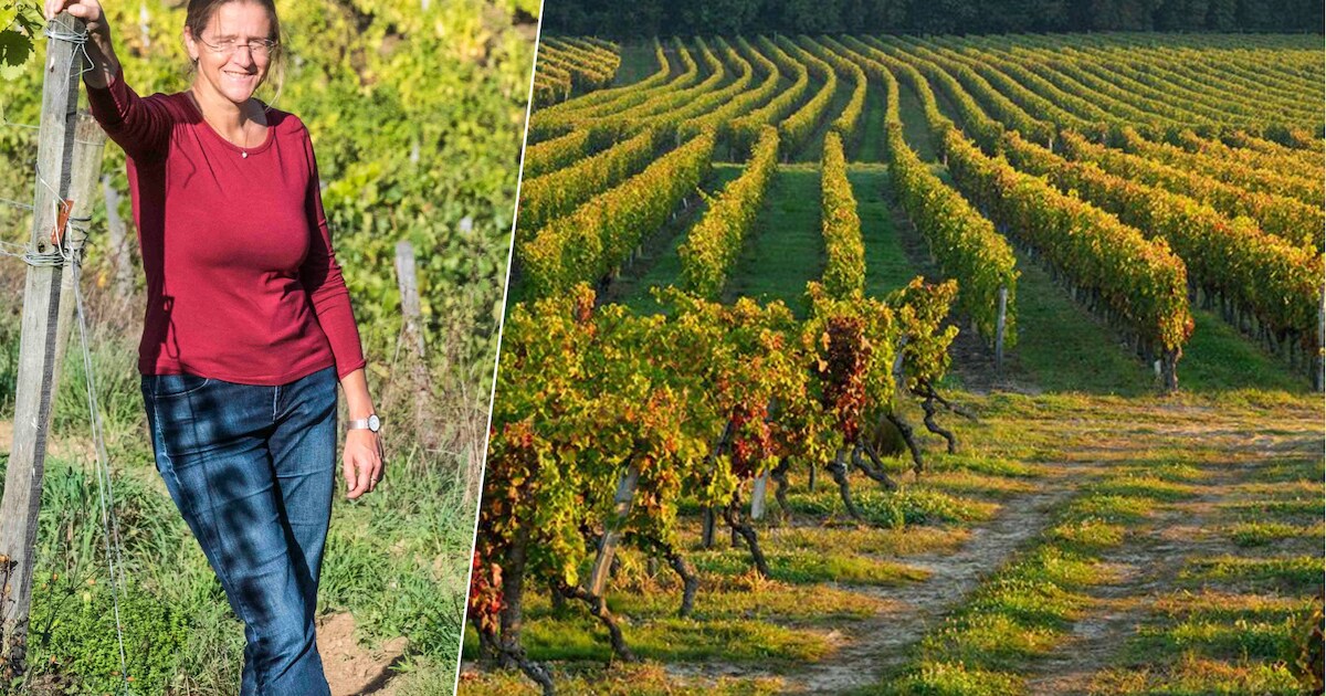 Kathleen uit Oosterzele is de eerste Nederlandstalige vrouwelijke ...