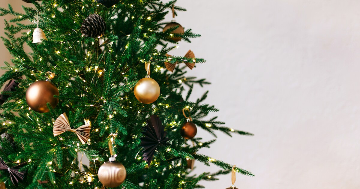 Waar naartoe met je kerstboom na de feestdagen | Landen | HLN.be