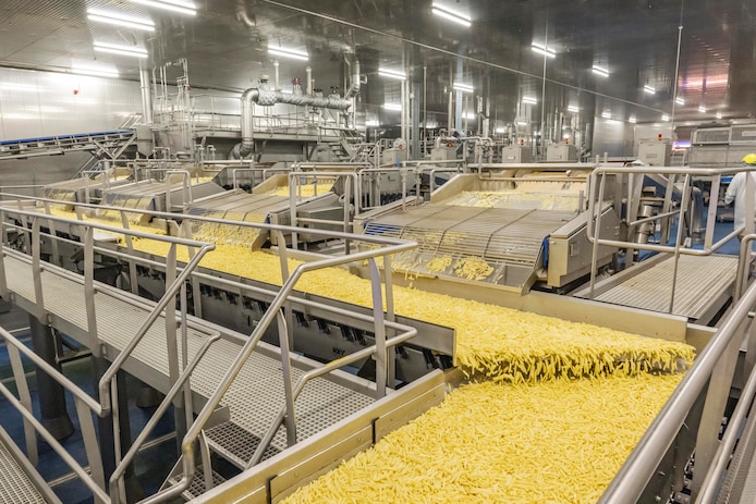 Modernste frietfabriek van Europa opent vandaag in ons land: 3,5 ...