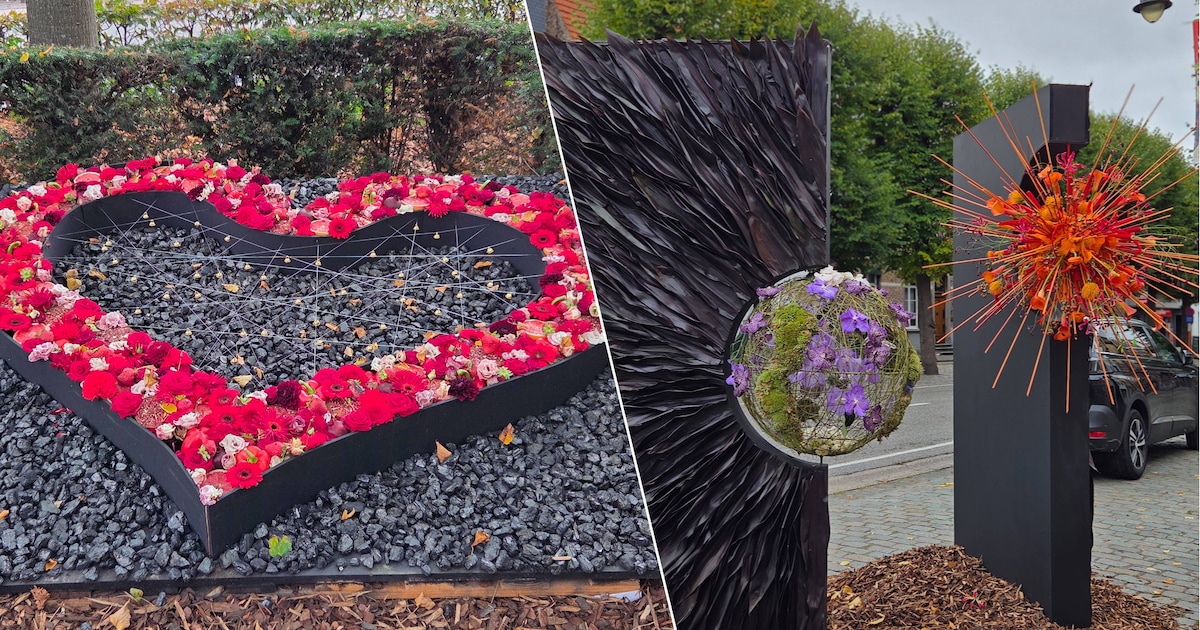 KIJK. Hoogstraten in Groenten en Bloemen lokt lovende reacties uit ...