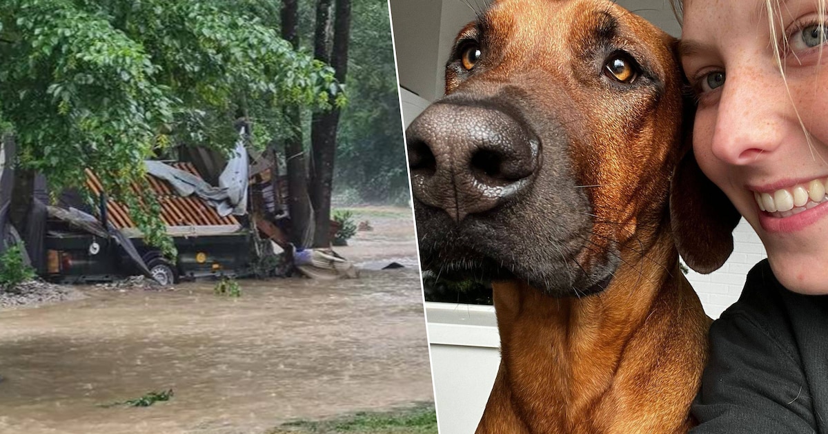 Hond van Belgisch gezin wordt meegesleurd door overstromingen in ...