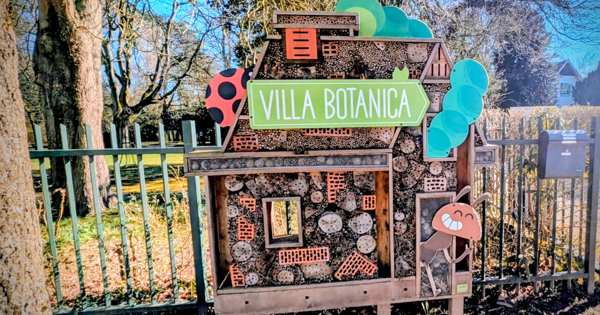 Van netelsoep tot cake: kinderen koken in de natuur tijdens activiteit ...