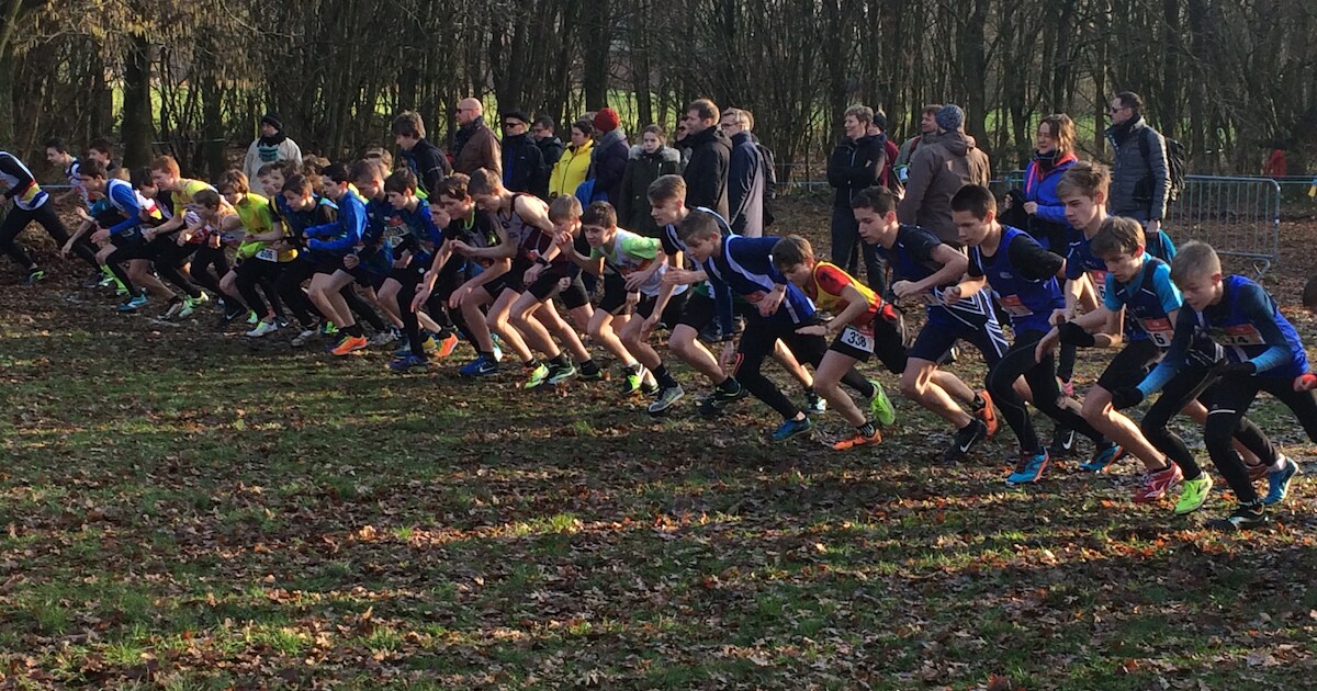 Ac Lyra en Ac Lierse worden AV Lyra-Lierse | Sport in de buurt | HLN.be