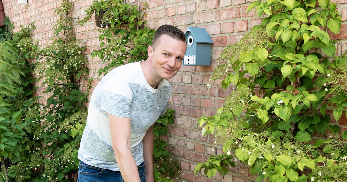 'Get Ready!'-zanger Jimmy Samijn heeft groene vingers: "In mijn ...