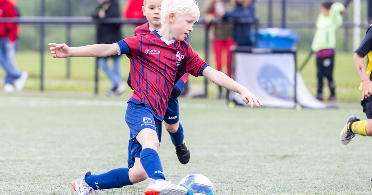 Stad Brugge biedt ook in 2026 sportkampen aan: inschrijven kan vanaf ...