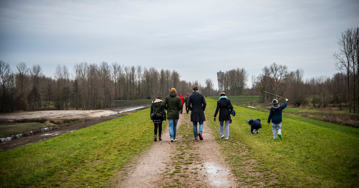Geniet van een rustige wandeling door de natuur van de Vlassenbroekse ...