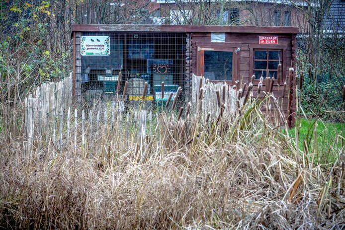 Het Gistel van imker Daniël De Rycker (68): “Ik ga niet veel op ...