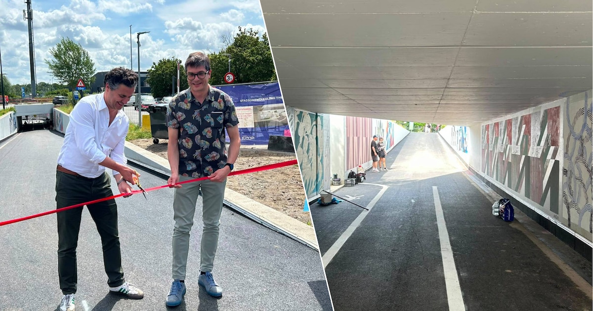 Nieuwe fiets- en voetgangerstunnel aan The Loop klaar: vanaf 8 juni ...