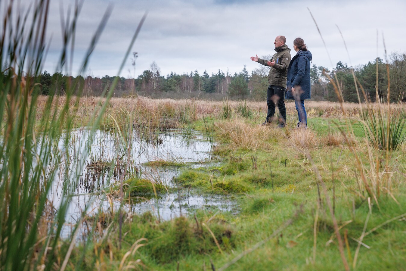 Natte weilanden en tóch verdroogt Nederland: de verborgen watercrisis ...