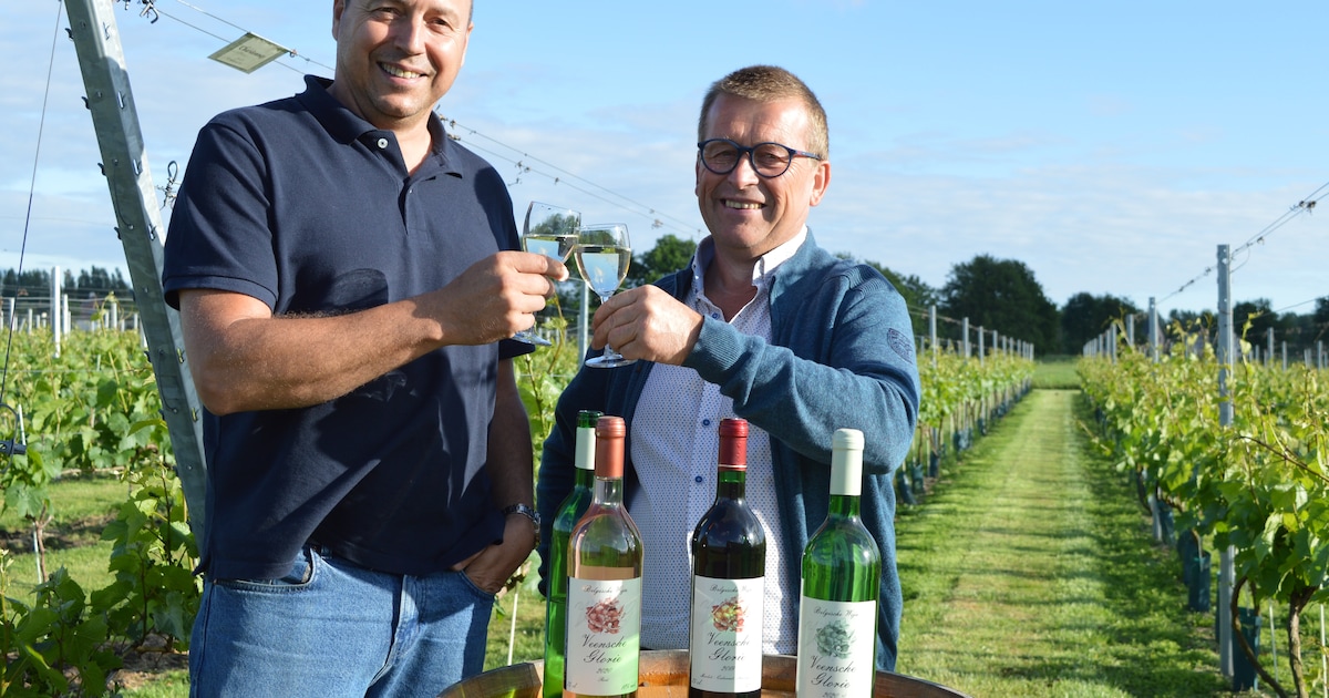 Hoeve- en streekproductenmarkt komt voor het eerst naar Ertvelde ...