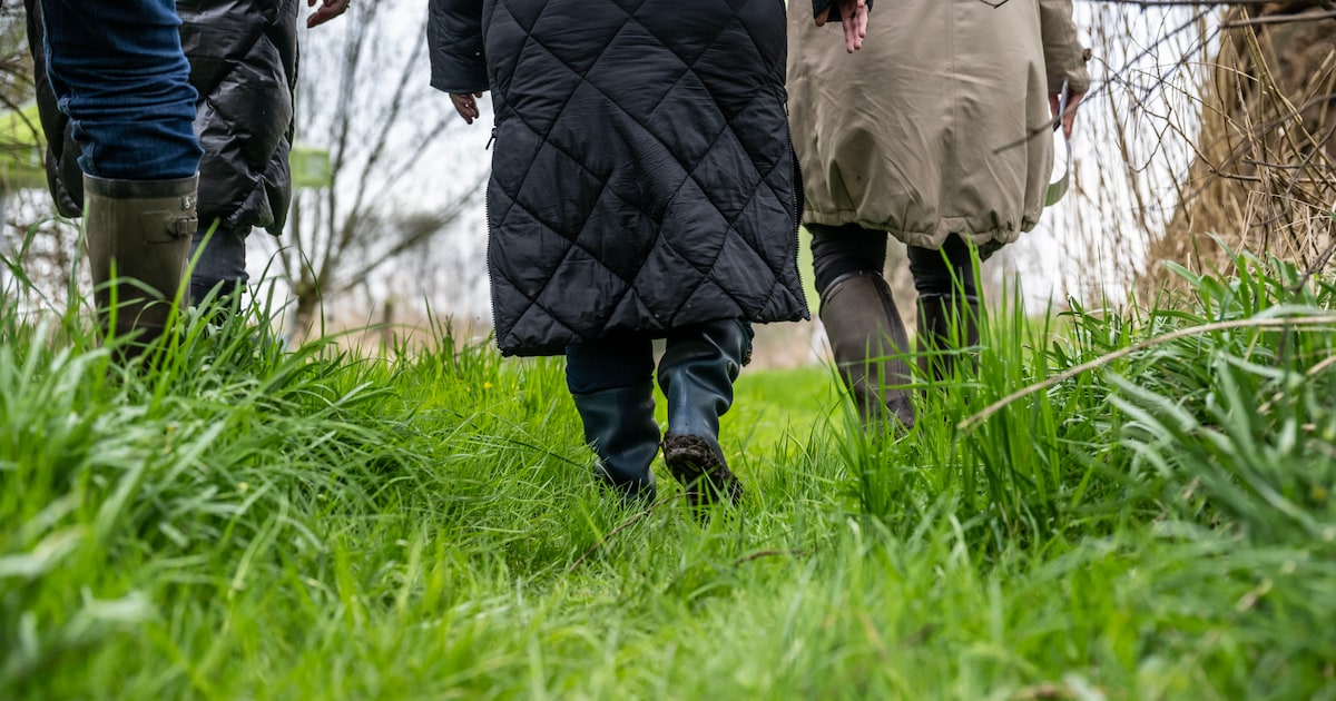 Natuurpunt Dendermonding organiseert opleiding tot natuurgids | Regio ...